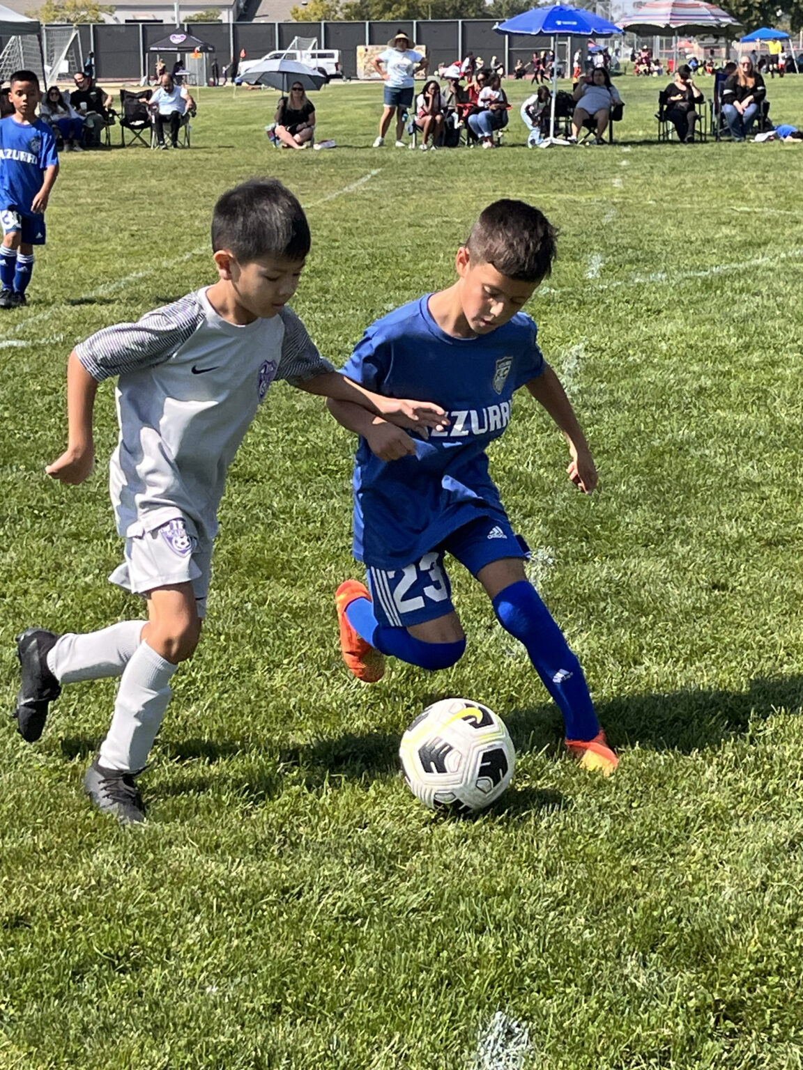 Azzurri Futbol Club – Excellence in Soccer & Citizenship